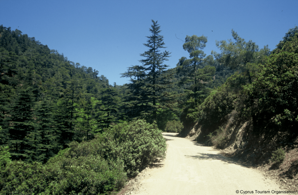 Paphos District - Kyprida Travel